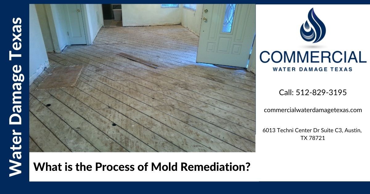 Process of Mold Remediation - Commercial Water Damage Texas
